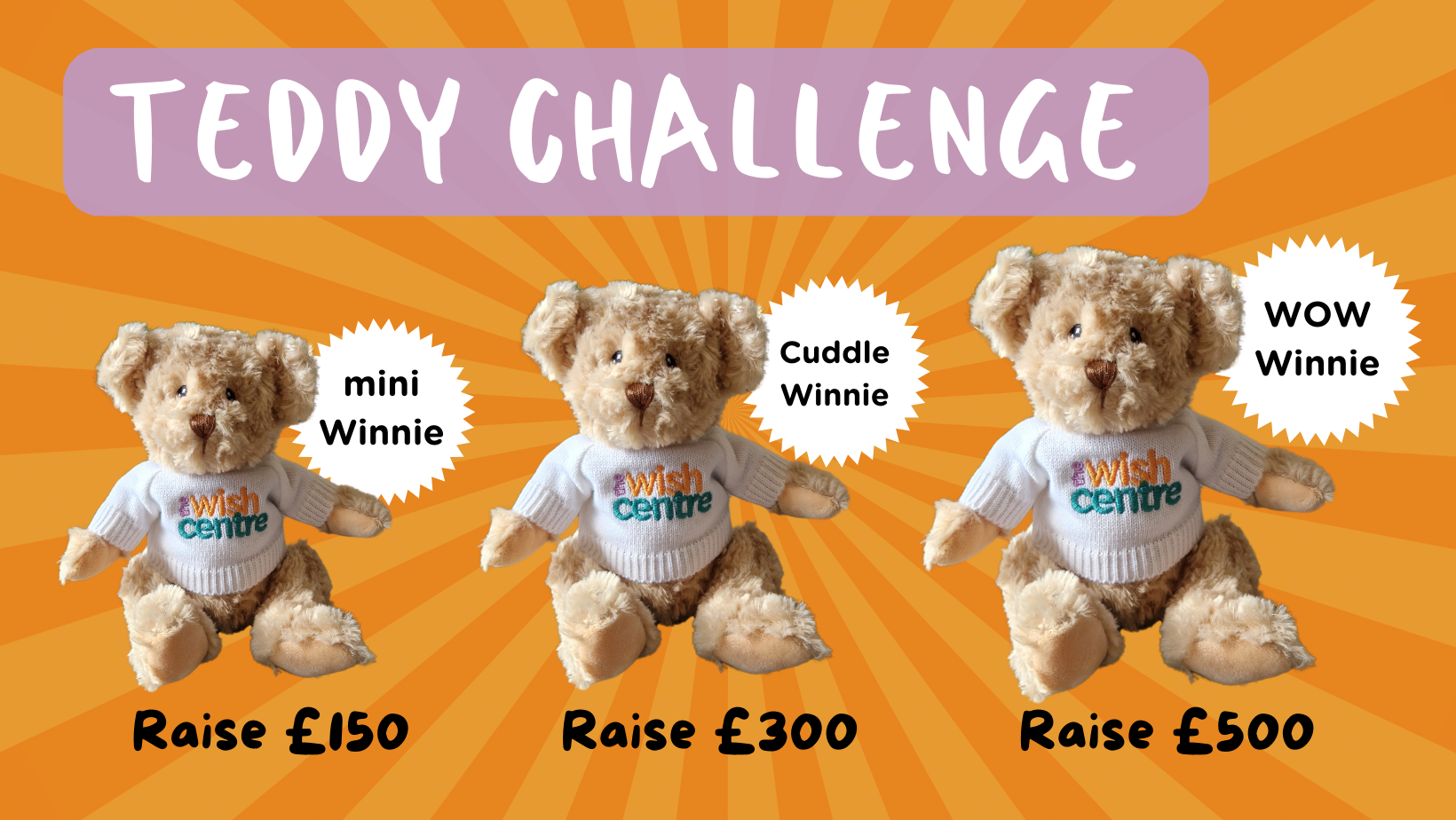Take part in the Wish Centre Teddy Challenge! | The Wish Centre